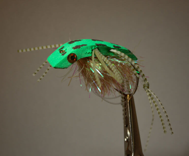 Bass Poppers | Breambugs.com